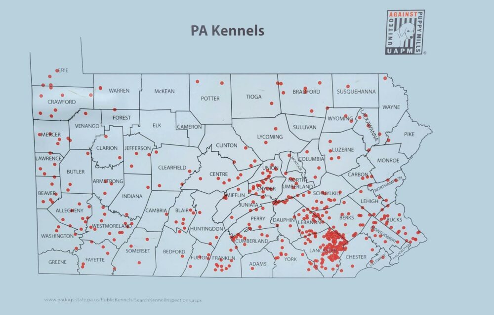 PA Kennel Law - United Against Puppy Mills